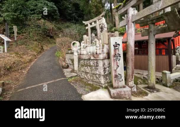 A walk through a serene Shinto shrine pathway Stock Video Footage - Alamy