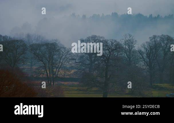 Timelapse fog rolling through forest trees and open field in England ...