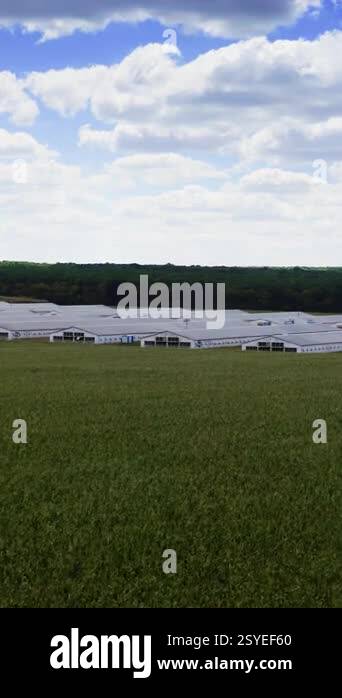 Poultry farm in a field. Modern industrial and agricultural buildings ...