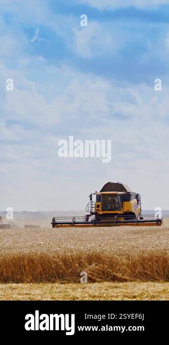 Rural landscape with combine. Combine harvester at work harvesting ...