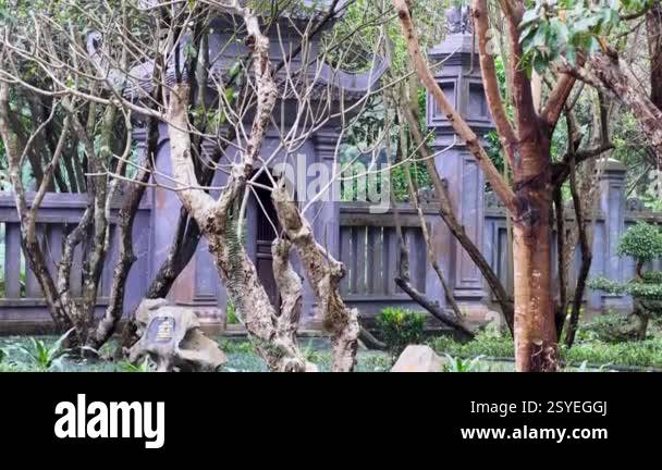 Trees and stone structures in peaceful setting Stock Video Footage - Alamy