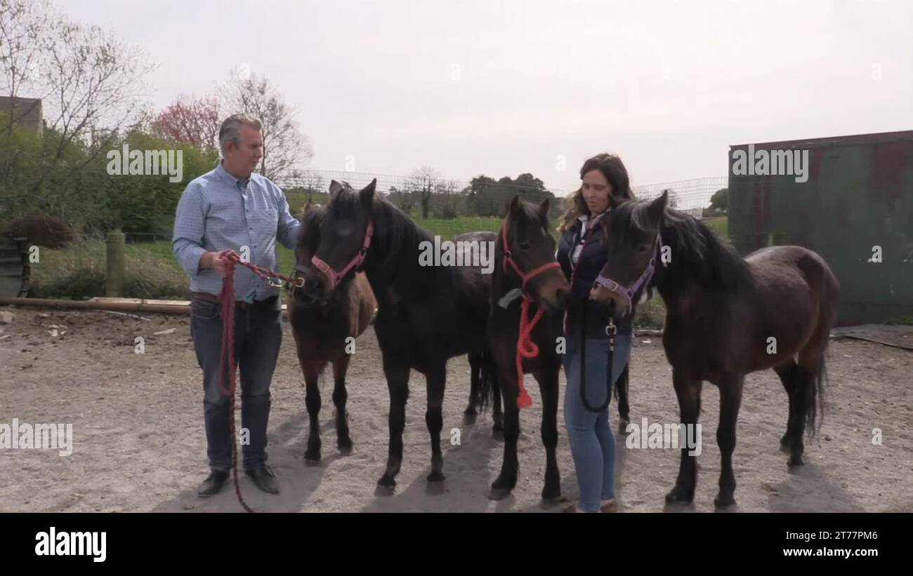 Paperwork errors Stock Videos & Footage - HD and 4K Video Clips - Alamy