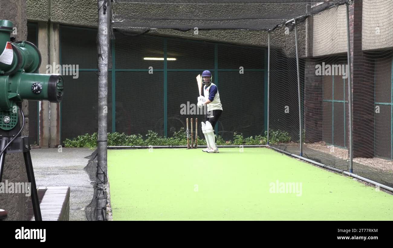 Cricket face Stock Videos & Footage - HD and 4K Video Clips - Alamy