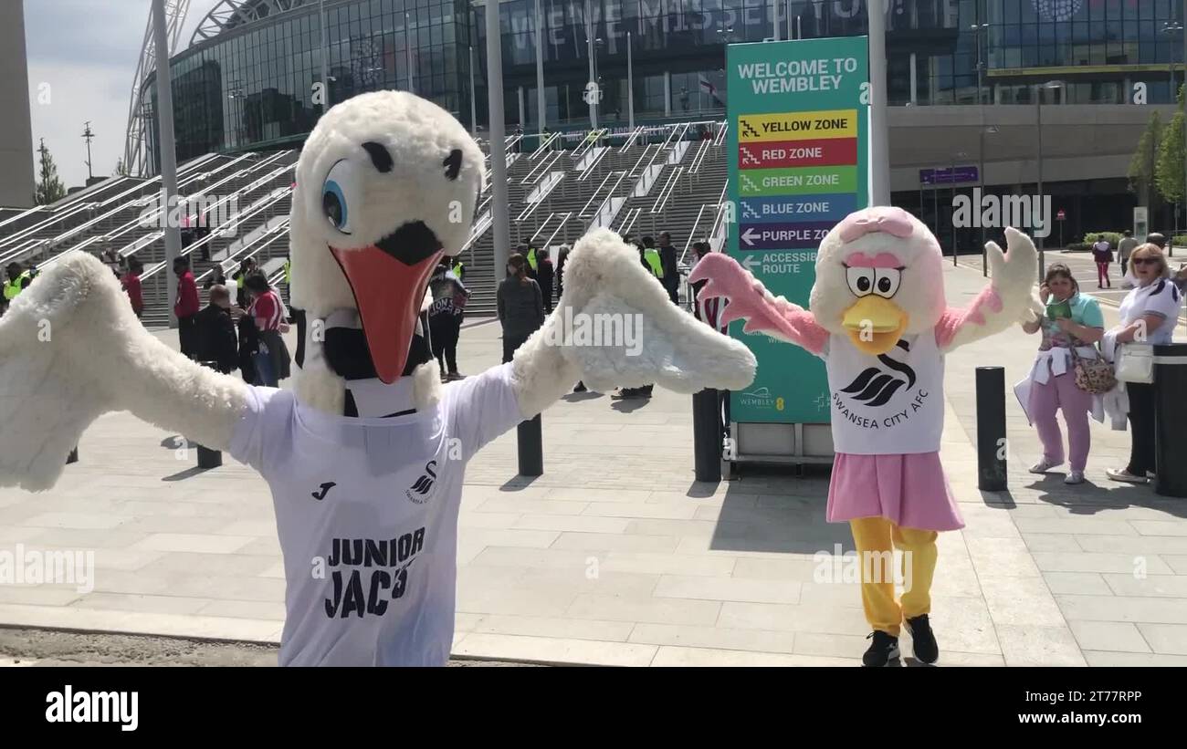 Mascots swansea Stock Videos & Footage - HD and 4K Video Clips - Alamy
