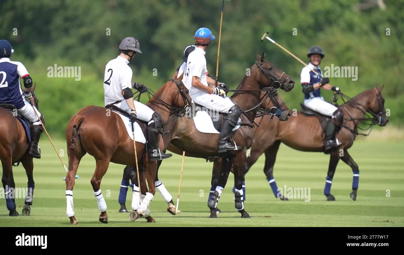 Prince william royal polo Stock Videos & Footage - HD and 4K Video ...