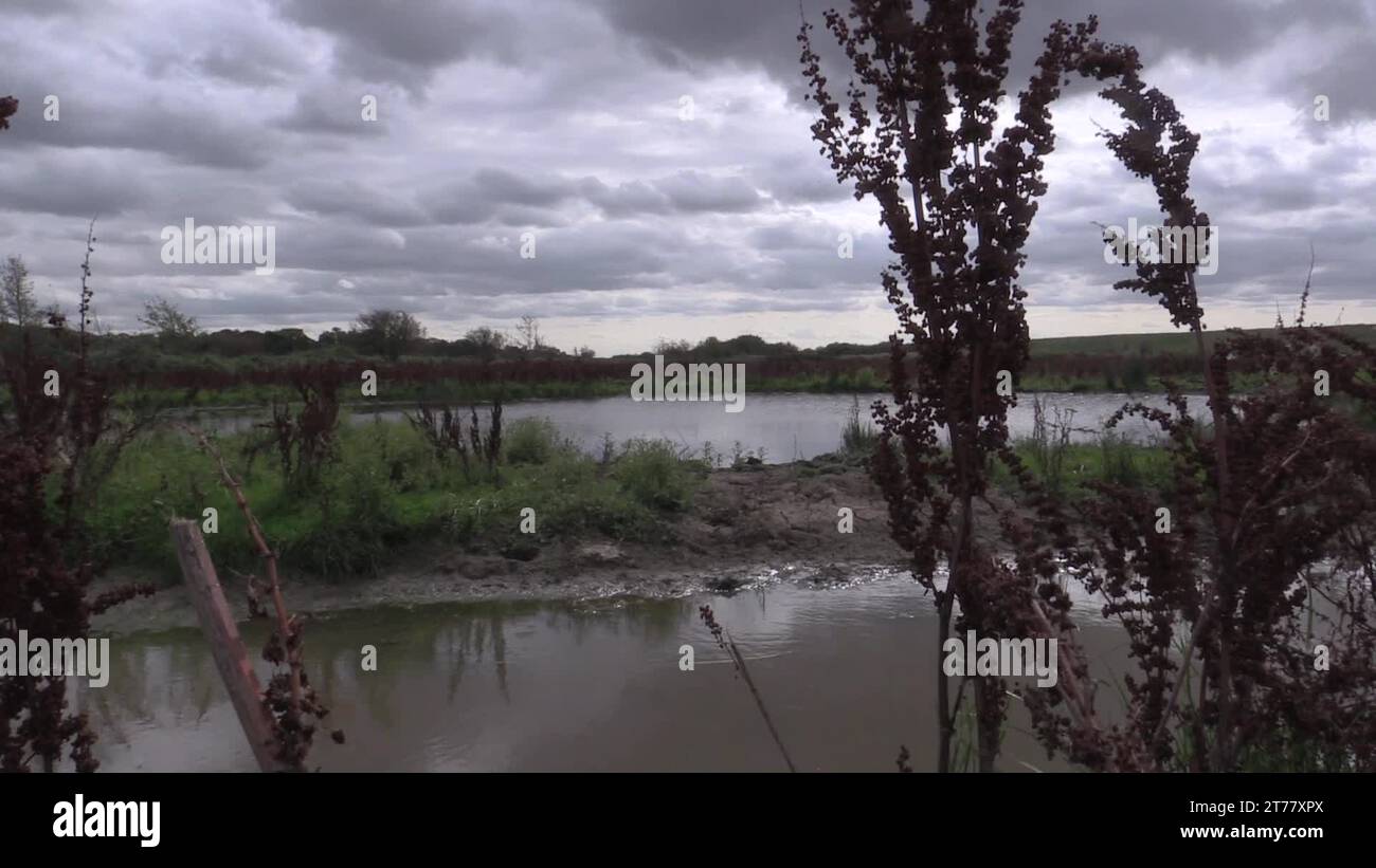 Rewilding rewilding farm Stock Videos & Footage - HD and 4K Video Clips ...