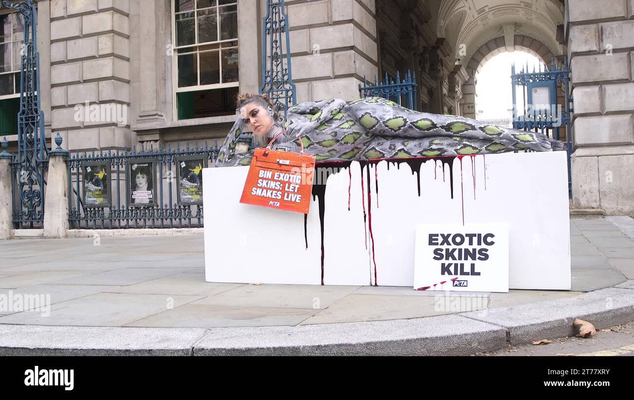Peta exotic skin protest Stock Videos & Footage - HD and 4K Video Clips ...