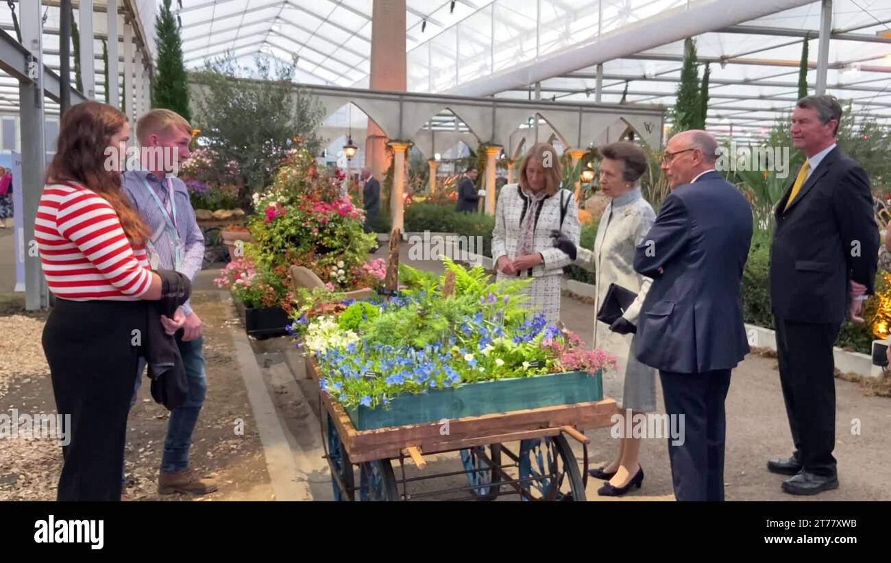 Rhs show gardens Stock Videos & Footage - HD and 4K Video Clips - Alamy