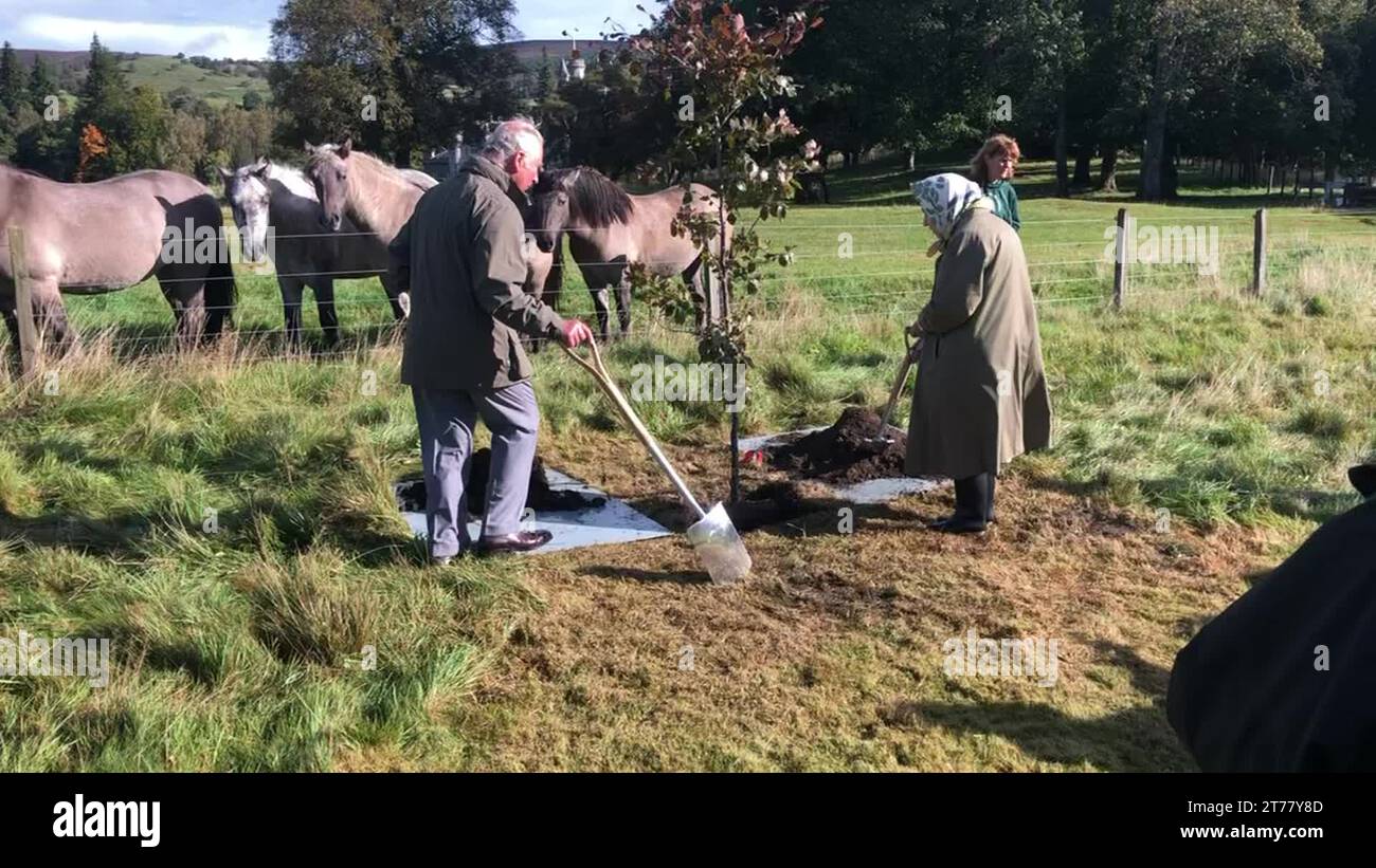 Queen jubilee tree of tree Stock Videos & Footage - HD and 4K Video ...