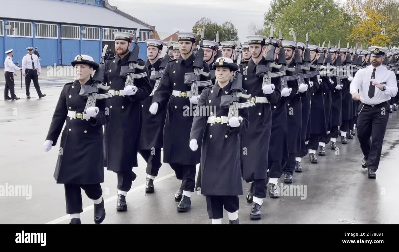 Remembrance albert hall Stock Videos & Footage - HD and 4K Video Clips ...