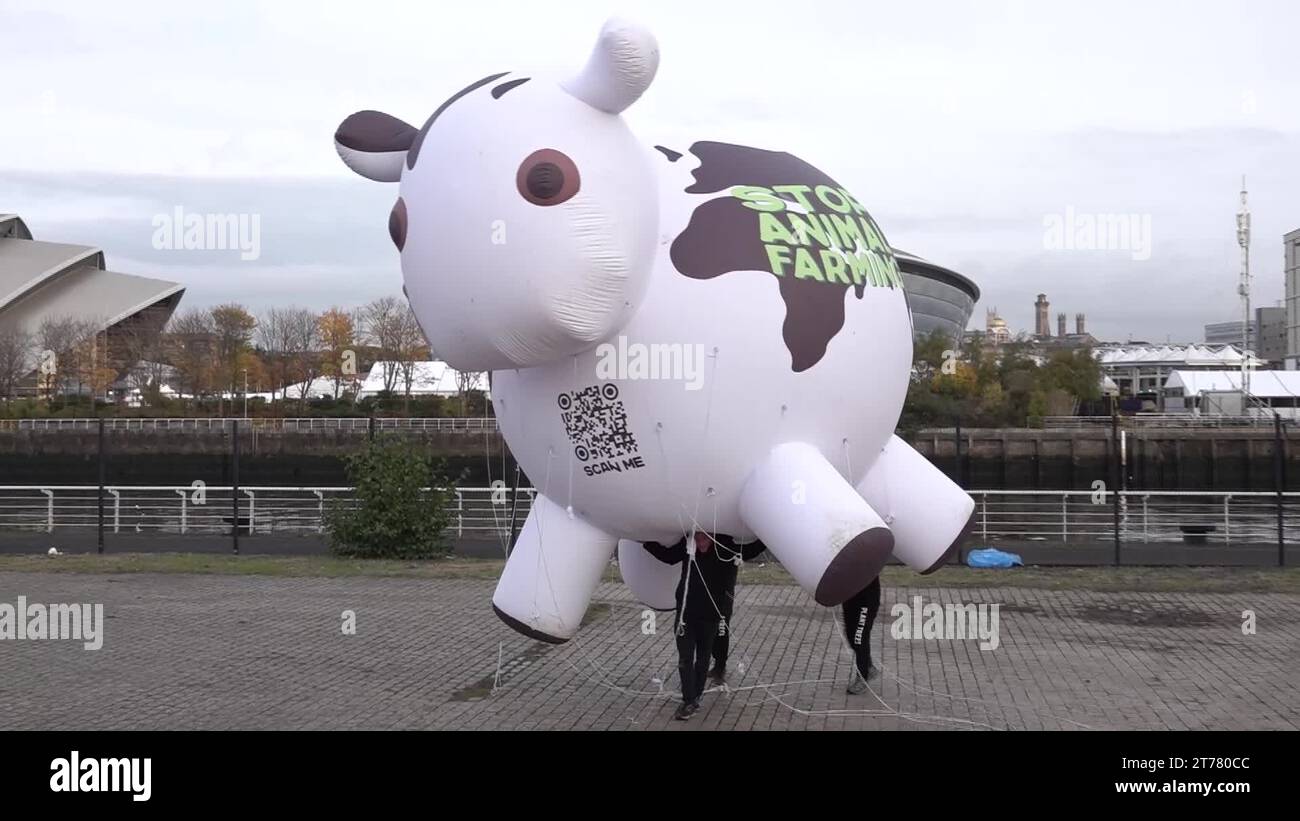 Inflatable cow Stock Videos & Footage - HD and 4K Video Clips - Alamy