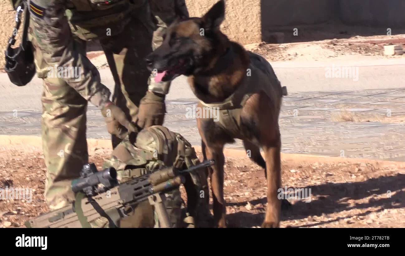 Military working Stock Videos & Footage - HD and 4K Video Clips - Alamy