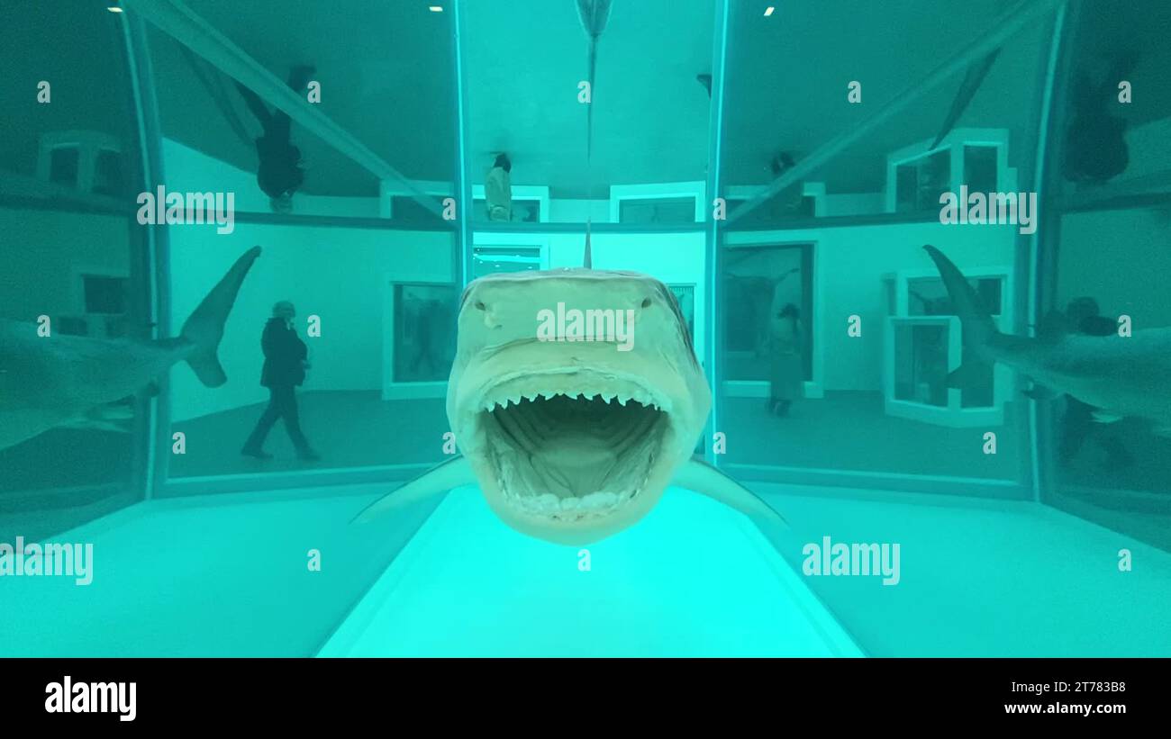 Damien hirst formaldehyde sculptures Stock Videos & Footage - HD and 4K ...