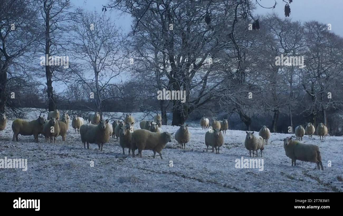 Snow co antrim Stock Videos & Footage - HD and 4K Video Clips - Alamy