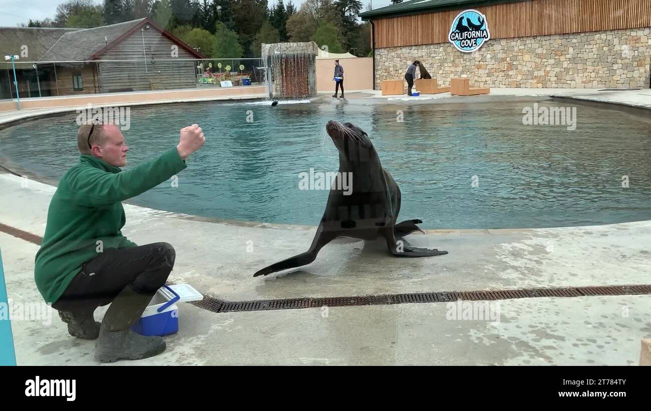 Scottish zoo Stock Videos & Footage - HD and 4K Video Clips - Alamy