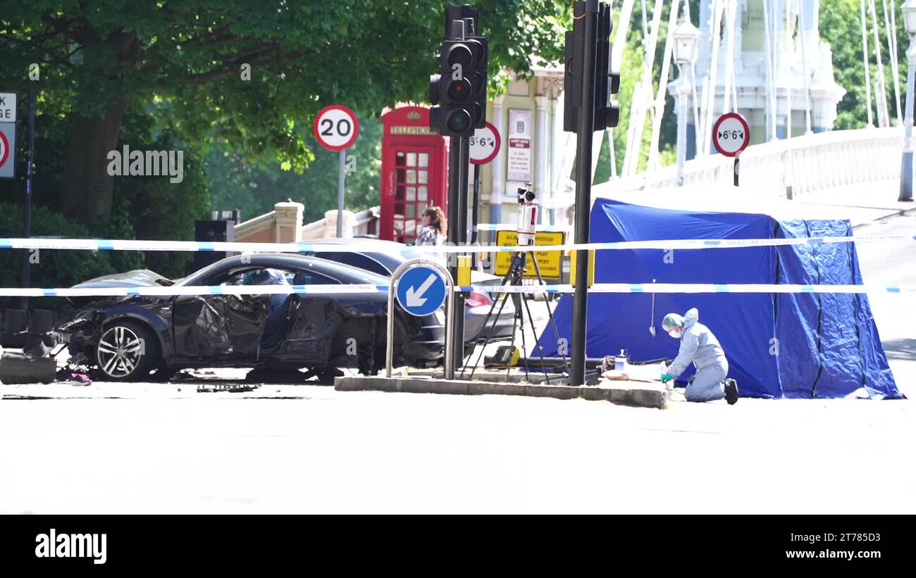 Chelsea dogs Stock Videos & Footage - HD and 4K Video Clips - Alamy