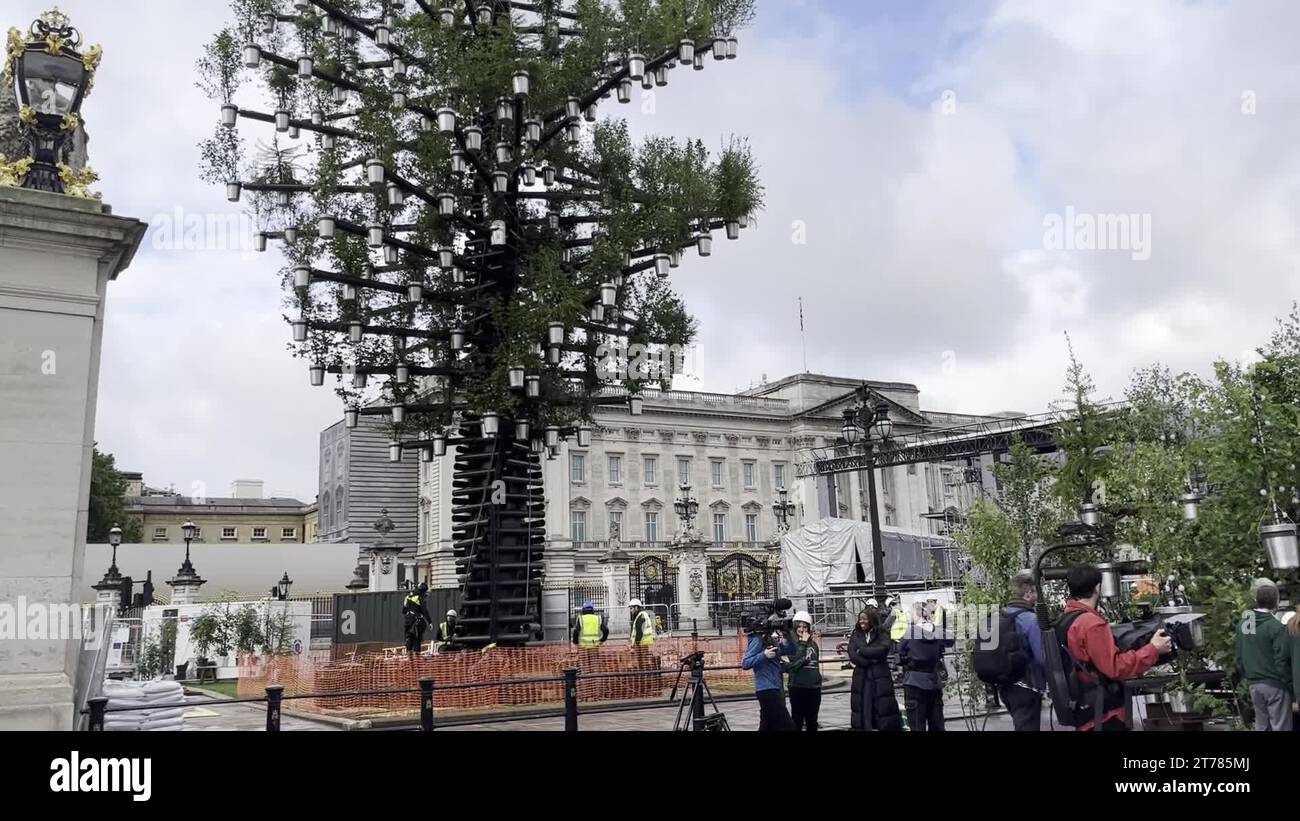 Buckingham palace tree of trees Stock Videos & Footage - HD and 4K Video Clips - Alamy