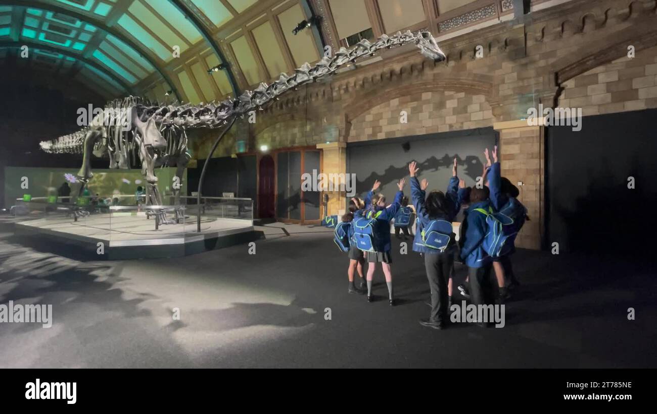 Diplodocus natural history museum 1905 Stock Videos & Footage - HD and ...