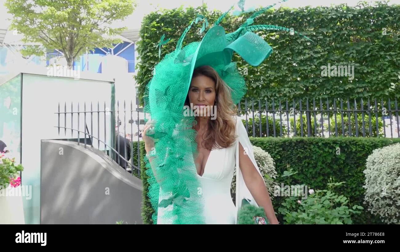 Anne tracy Stock Videos & Footage - HD and 4K Video Clips - Alamy