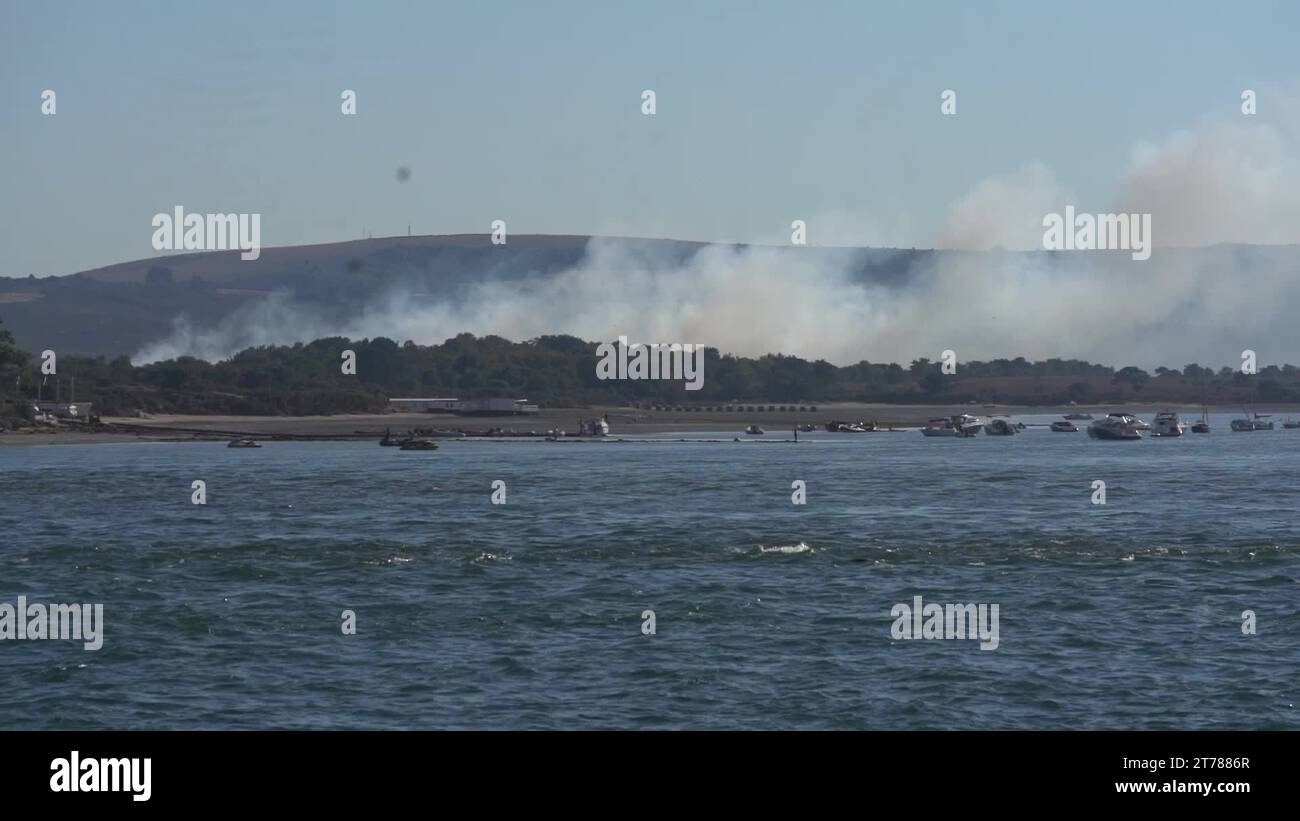 Studland heath fire Stock Videos & Footage - HD and 4K Video Clips - Alamy