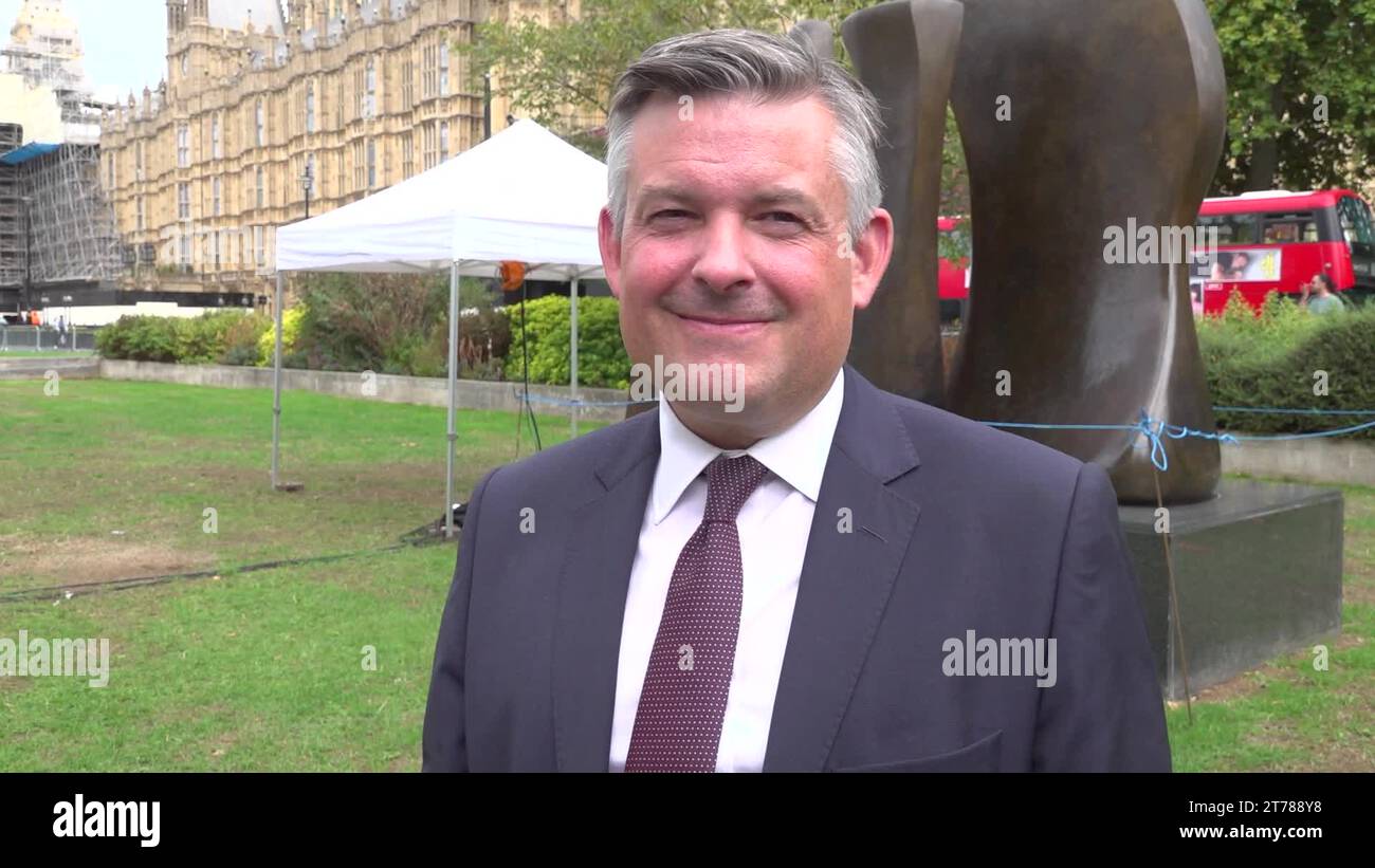 Shadow work and pensions secretary Stock Videos & Footage - HD and 4K ...