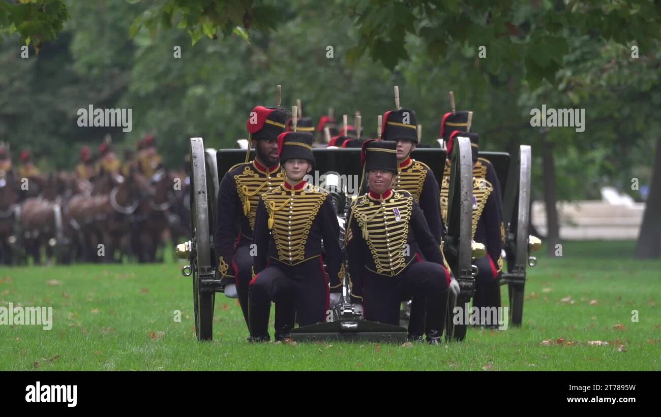 King charles iii salutes Stock Videos & Footage - HD and 4K Video Clips ...