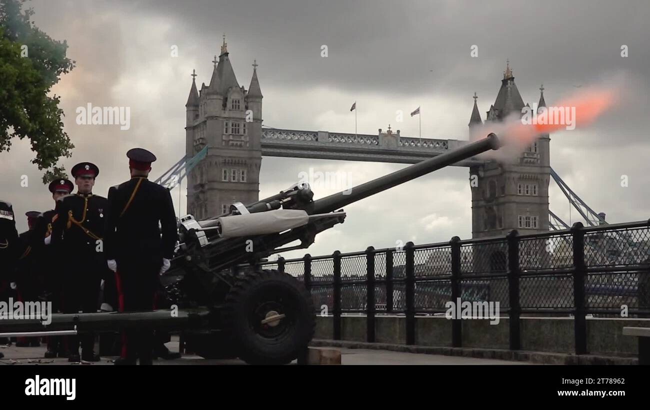 King charles salute Stock Videos & Footage - HD and 4K Video Clips - Alamy