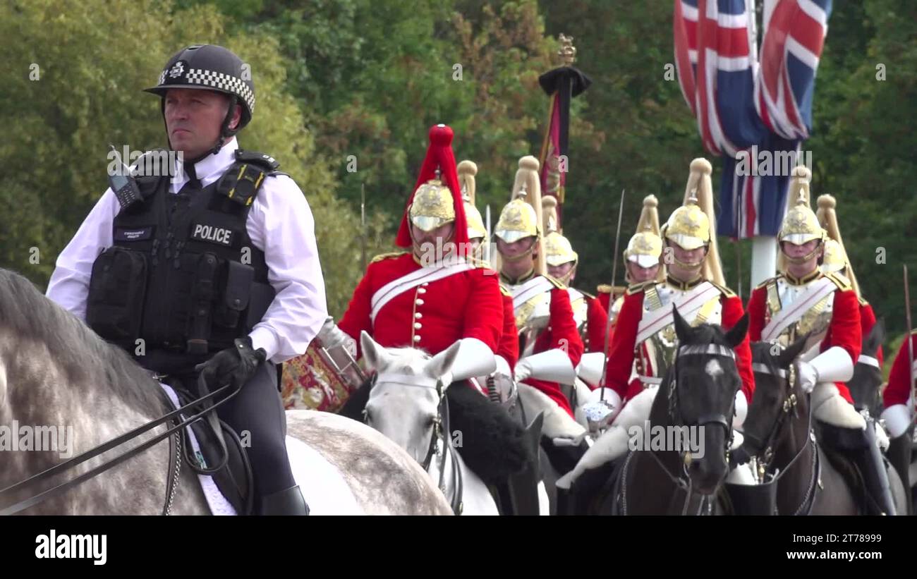 Kings guard horse Stock Videos & Footage - HD and 4K Video Clips - Alamy