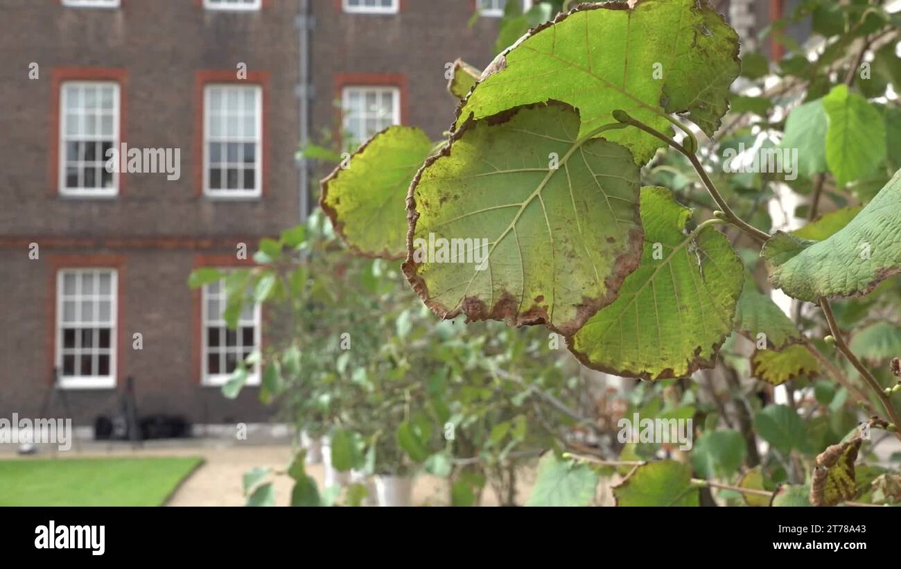 King and barnes Stock Videos & Footage - HD and 4K Video Clips - Alamy