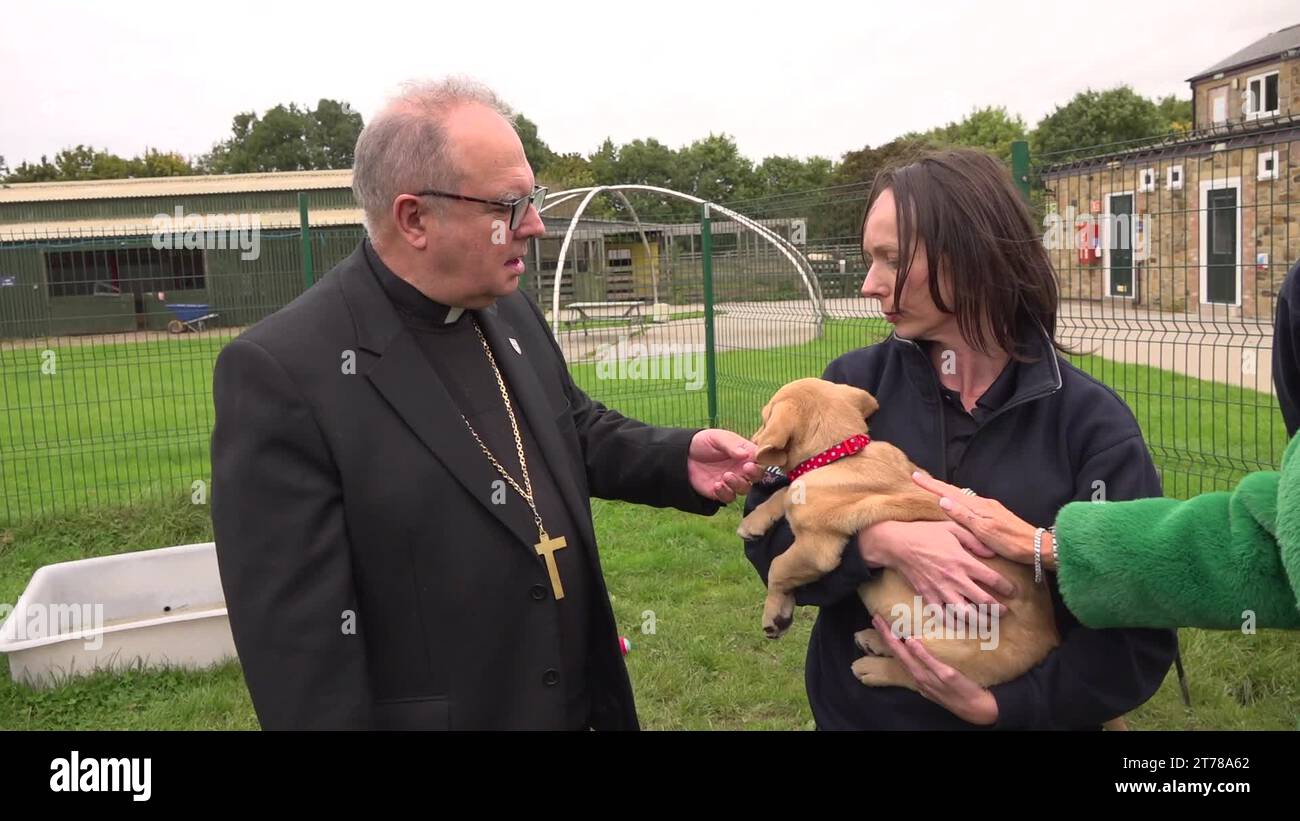 Feast of st francis Stock Videos & Footage - HD and 4K Video Clips - Alamy
