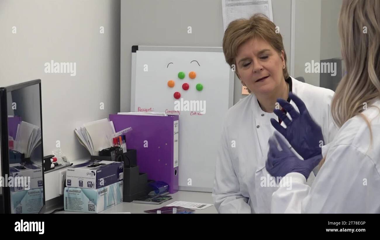 Roslin edinburgh Stock Videos & Footage - HD and 4K Video Clips - Alamy