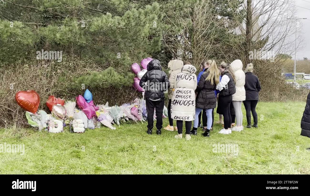 Cardiff family Stock Videos & Footage - HD and 4K Video Clips - Alamy