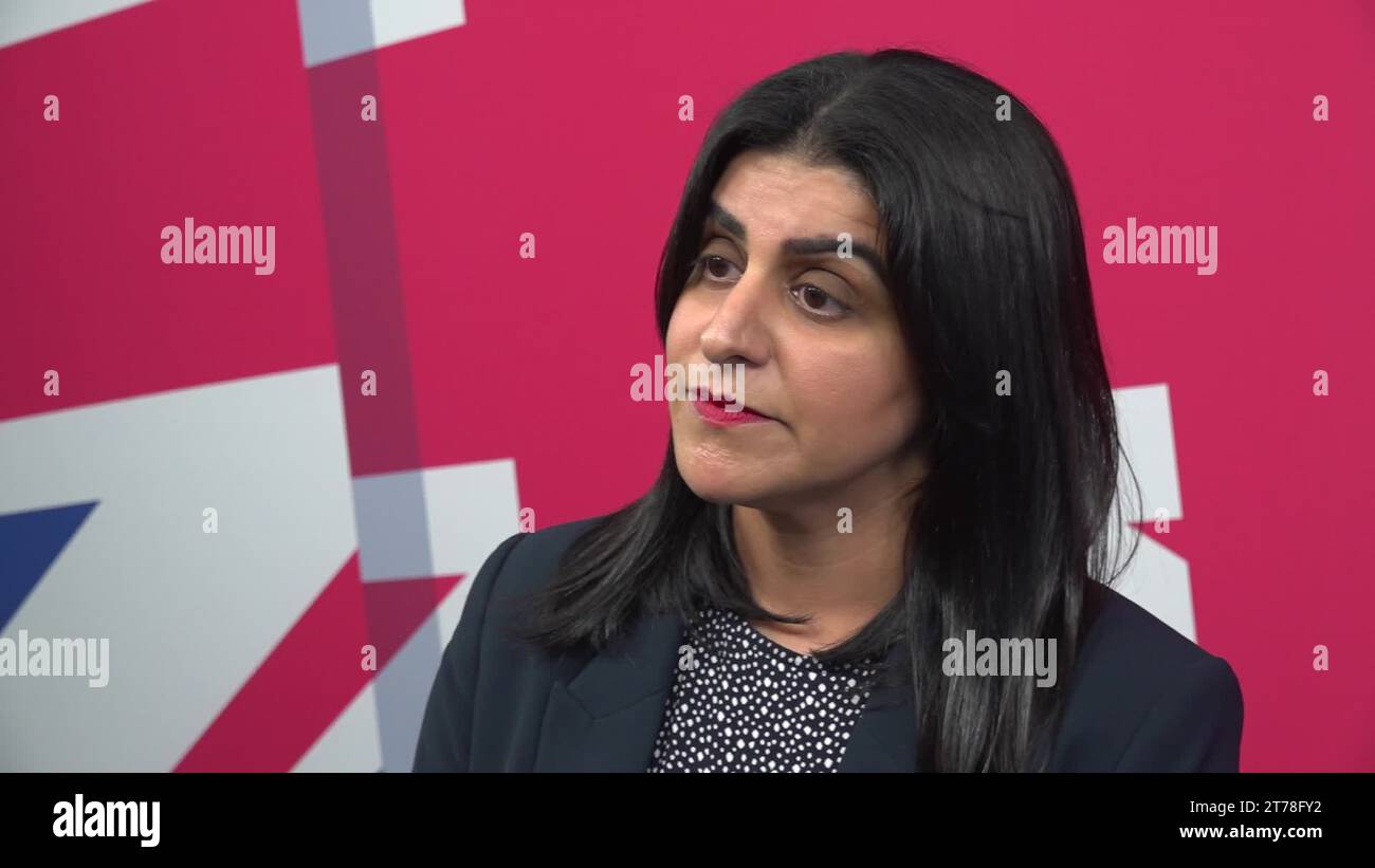 National executive committee of the labour party Stock Videos & Footage ...