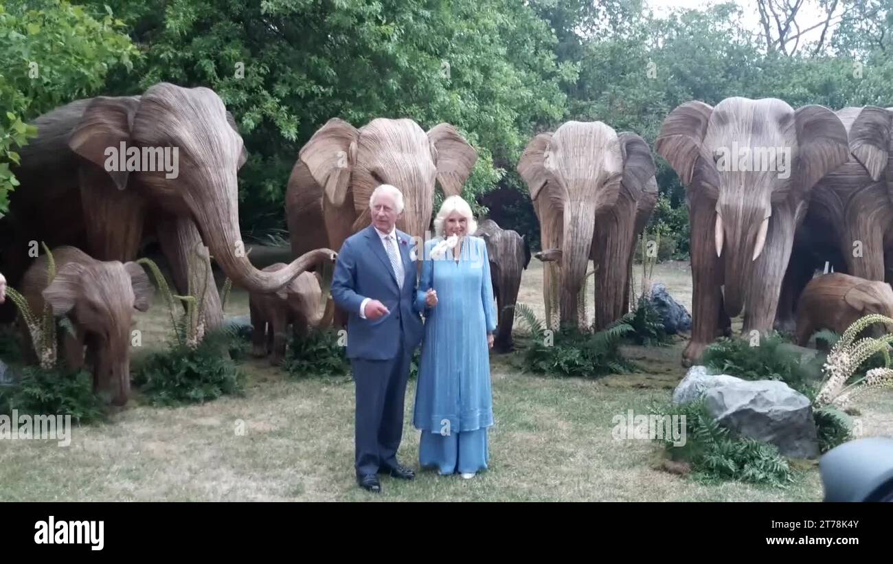 Wisdom king Stock Videos & Footage - HD and 4K Video Clips - Alamy