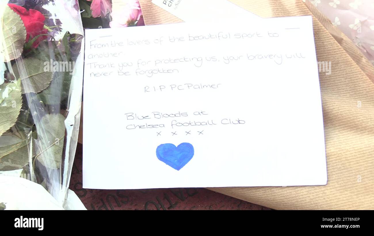 Palmer stadium Stock Videos & Footage - HD and 4K Video Clips - Alamy