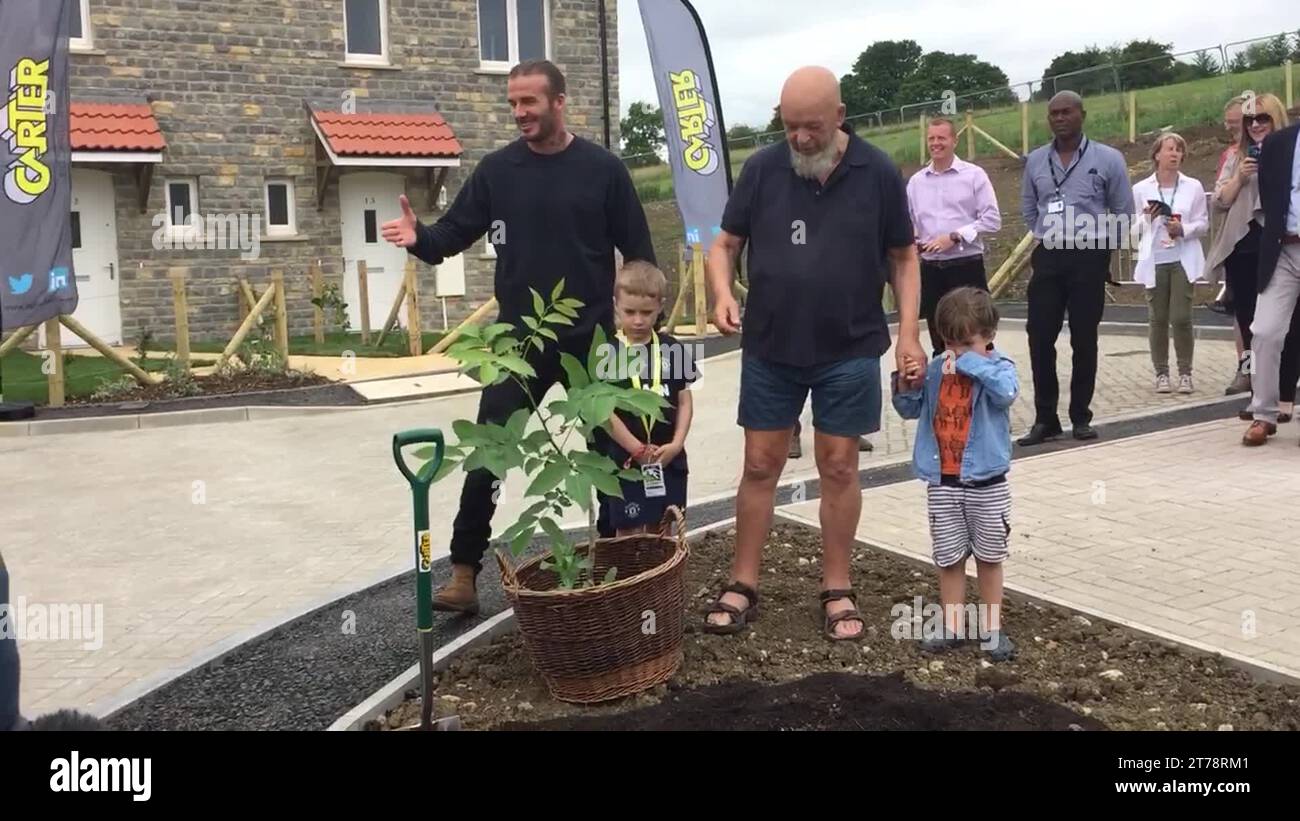 David beckham Stock Videos & Footage - HD and 4K Video Clips - Alamy