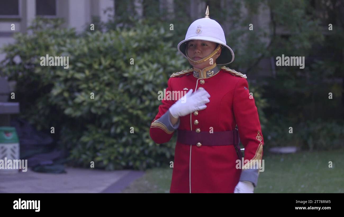 First ever woman commander of the Queen's Guard Stock Video Footage - Alamy
