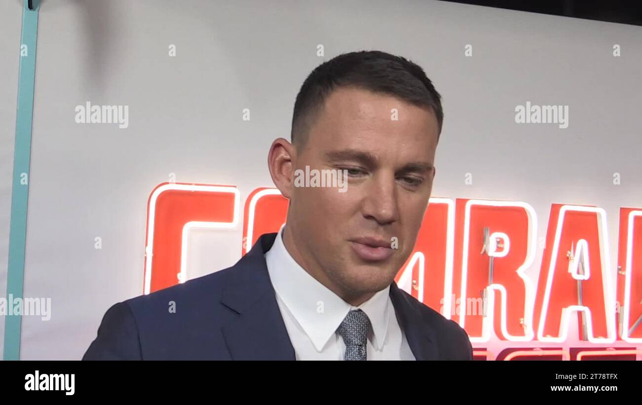 Fact hunt Stock Videos & Footage - HD and 4K Video Clips - Alamy