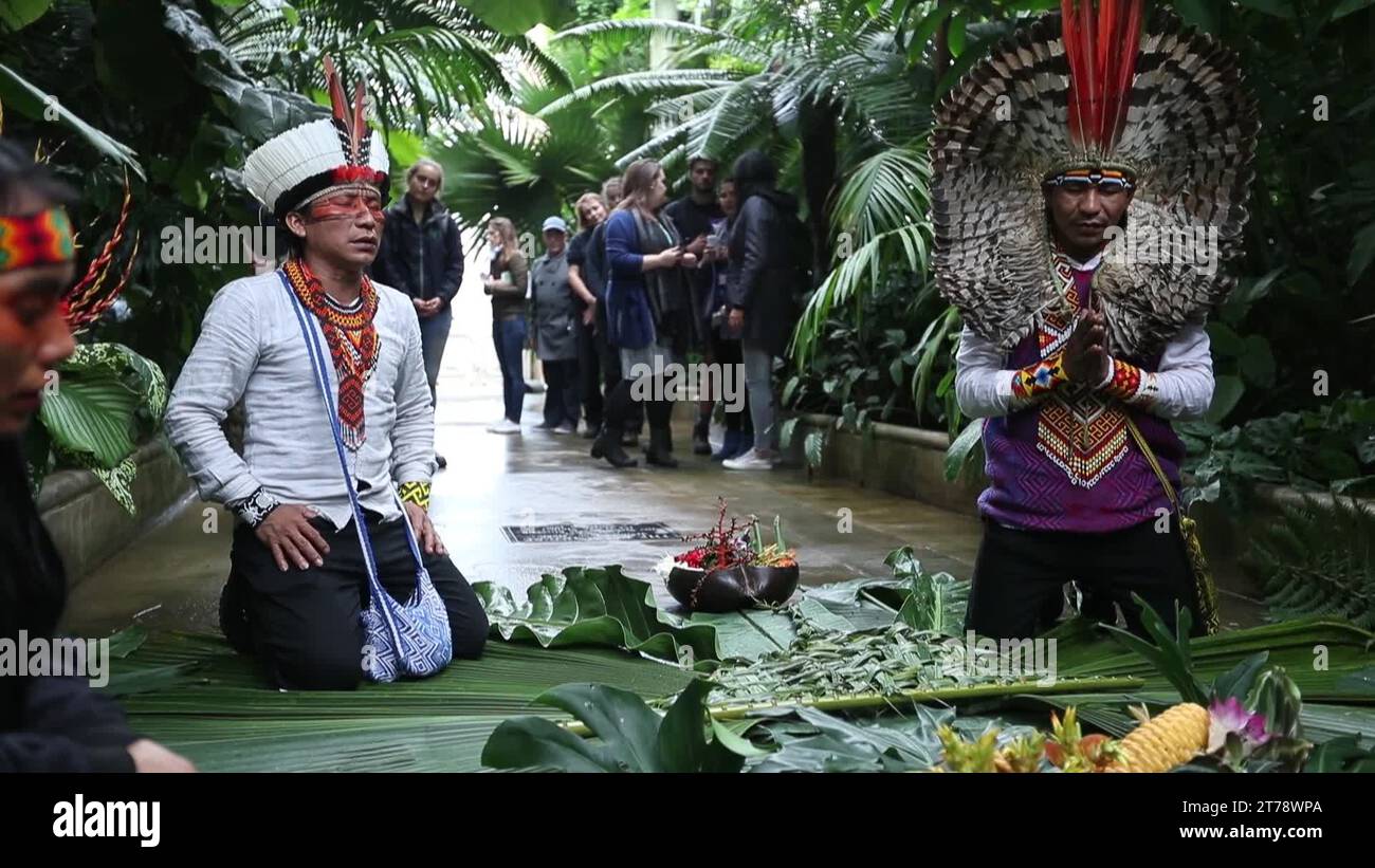 Social tribe Stock Videos & Footage - HD and 4K Video Clips - Alamy