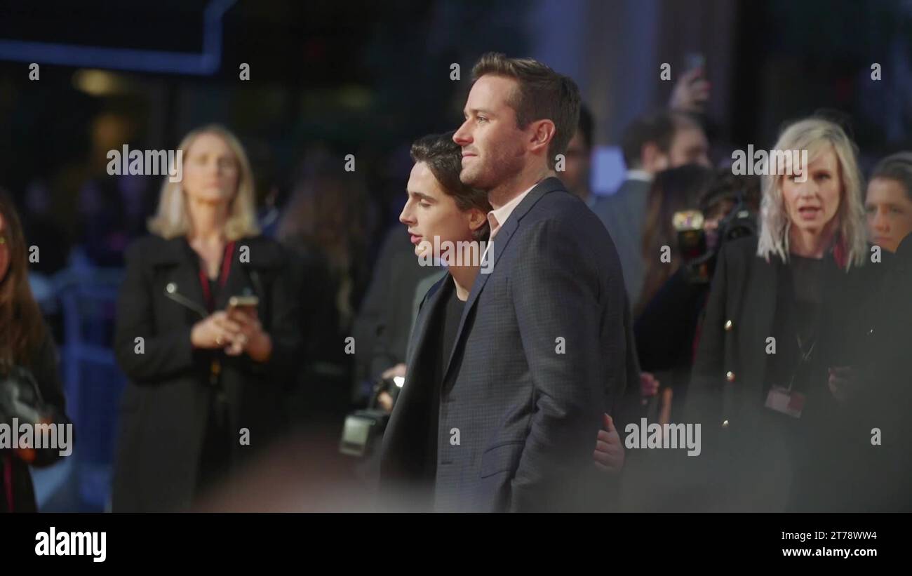 Armie hammer timothee chalamet Stock Videos & Footage - HD and 4K Video Clips - Alamy