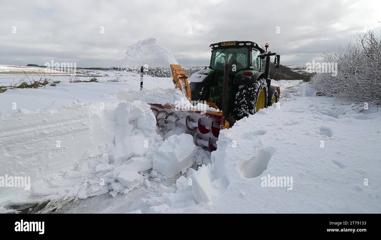 Mini beast from east Stock Videos & Footage - HD and 4K Video Clips - Alamy
