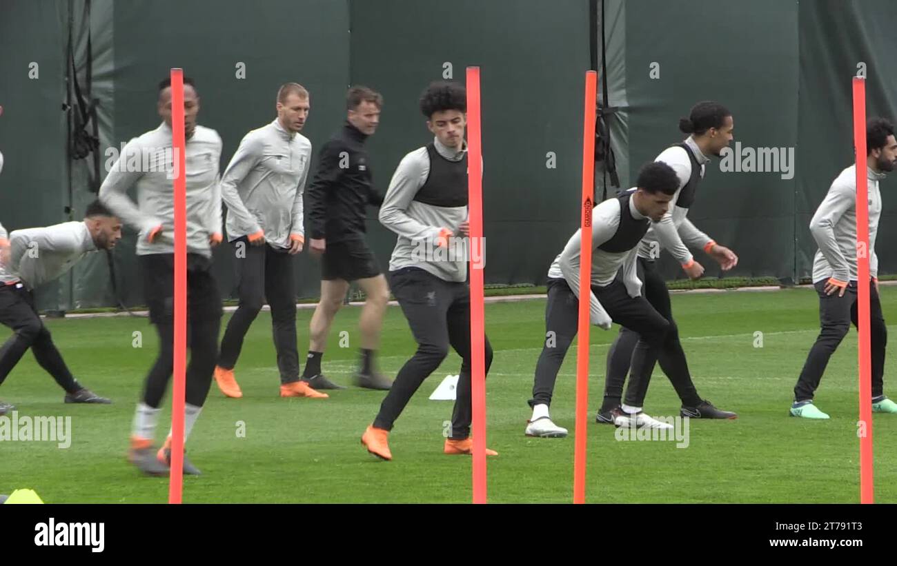 Alexander simon Stock Videos & Footage - HD and 4K Video Clips - Alamy