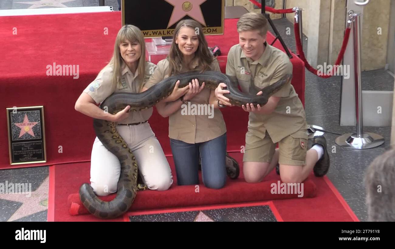 Bindi irwin and steve Stock Videos & Footage - HD and 4K Video Clips ...