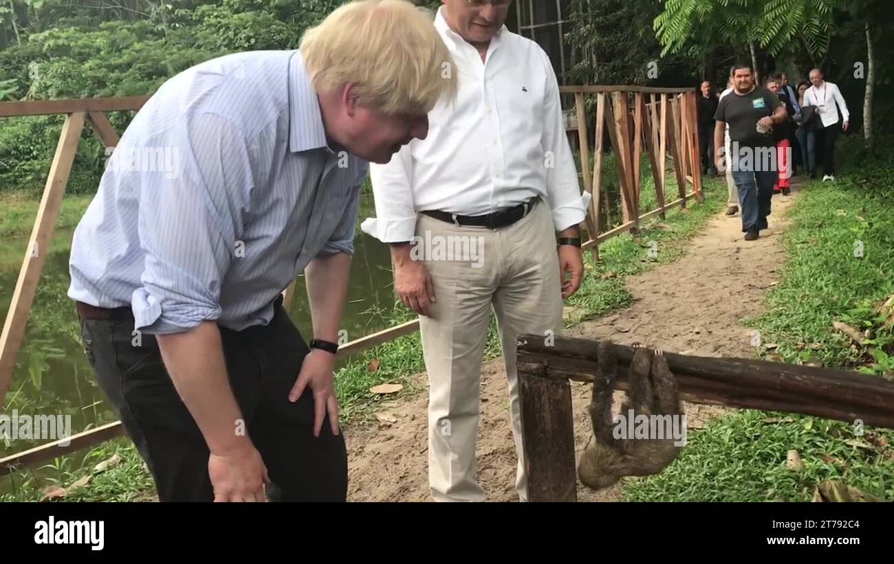 Monkey in monkey rescue centre Stock Videos & Footage - HD and 4K Video ...