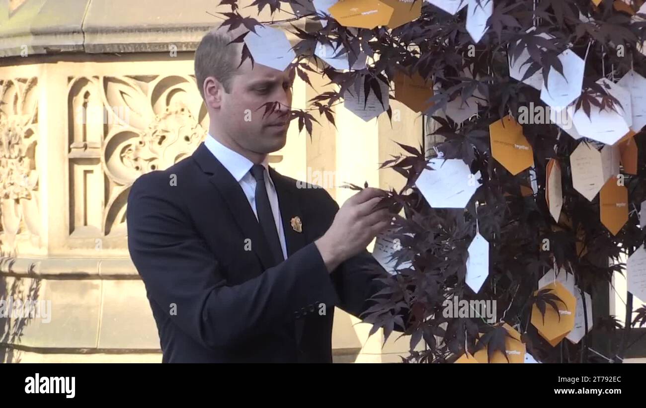 Tree of hope Stock Videos & Footage - HD and 4K Video Clips - Alamy