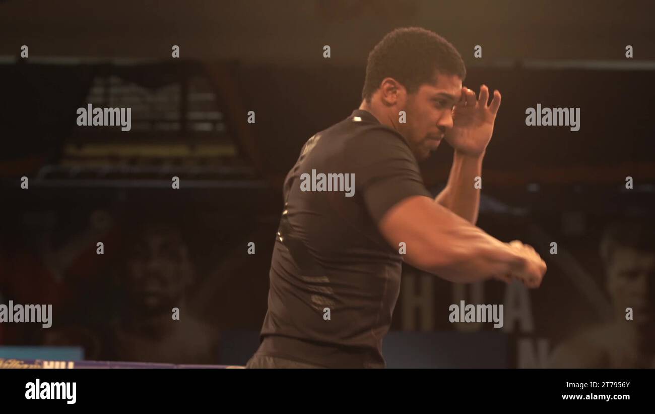 Boxing alexander Stock Videos & Footage - HD and 4K Video Clips - Alamy