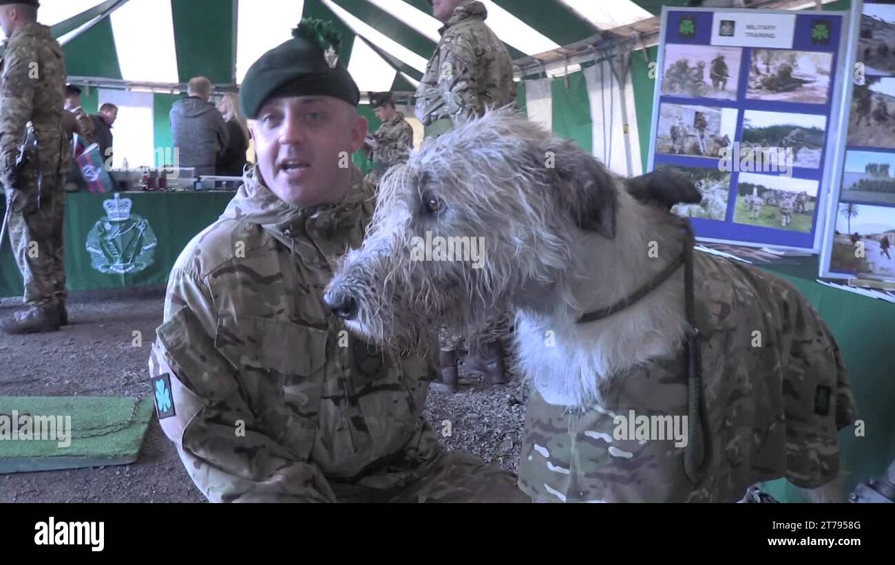 Royal irish mascot brian boru Stock Videos & Footage - HD and 4K Video ...