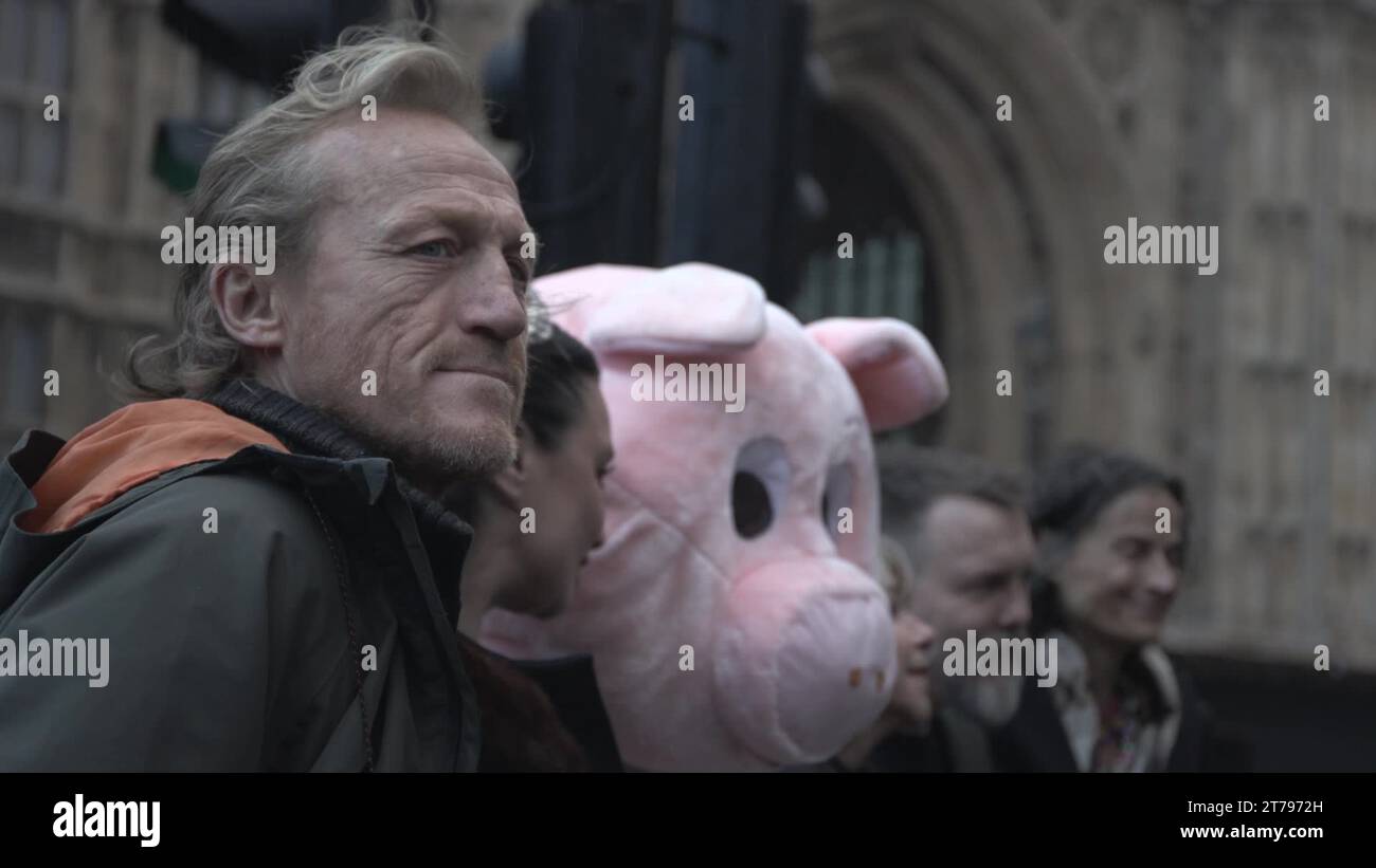 Pig farm ireland Stock Videos & Footage - HD and 4K Video Clips - Alamy