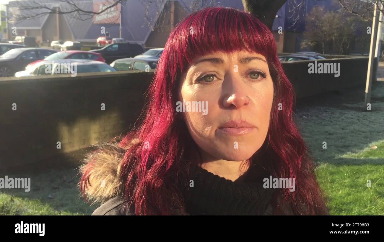 Animal rights activists with pigs Stock Videos & Footage - HD and 4K ...