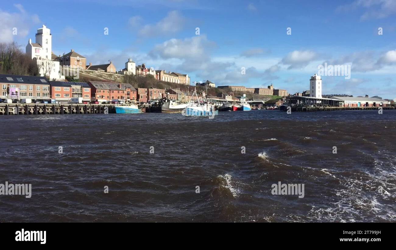Fishing for leave Stock Videos & Footage - HD and 4K Video Clips - Alamy